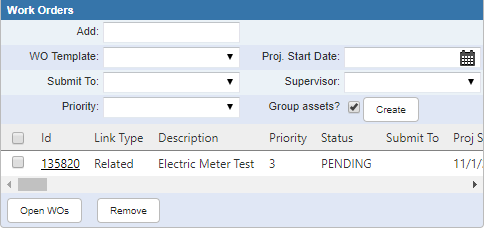 Related Work Activities Panel Work Order Section Fields